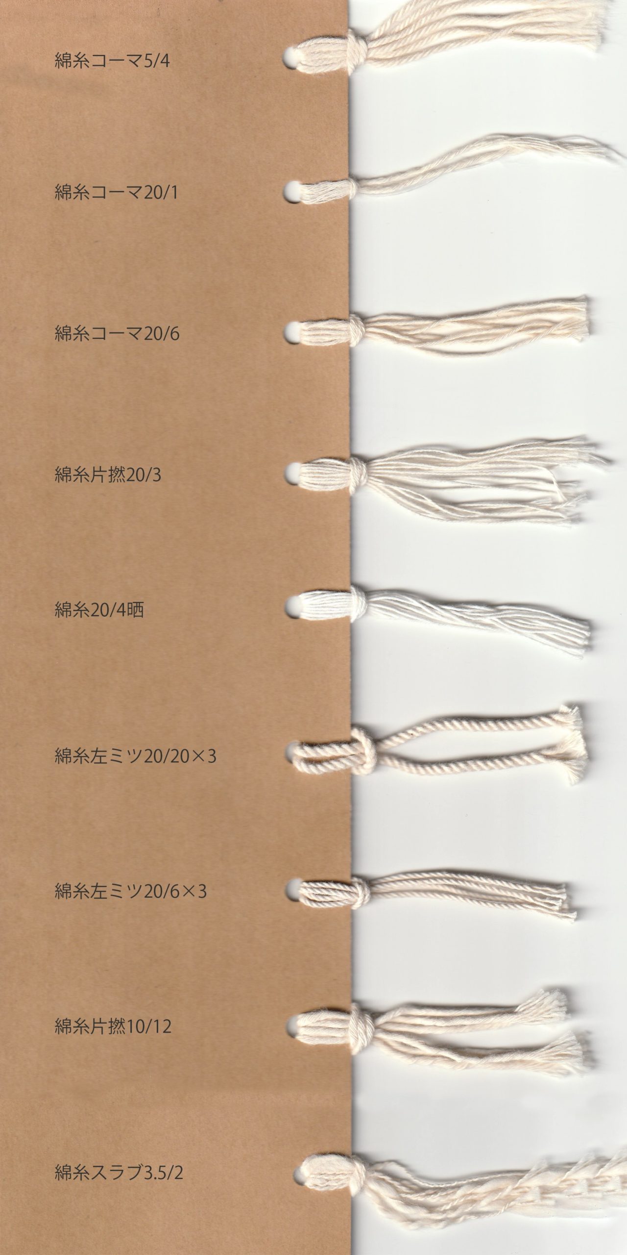 cotton_sample | 川島テキスタイルスクール ｜ KAWASHIMA TEXTILE SCHOOL ｜KYOTO